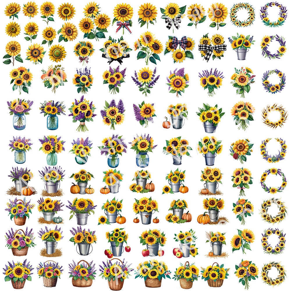 Sunflower Vector Pack - Etsy