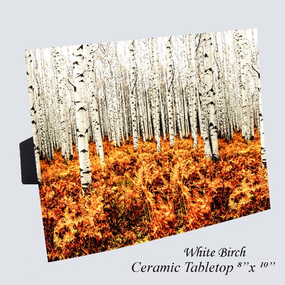 Ceramic Photo Tile 8x10 Cardinal Drangonfly | Etsy