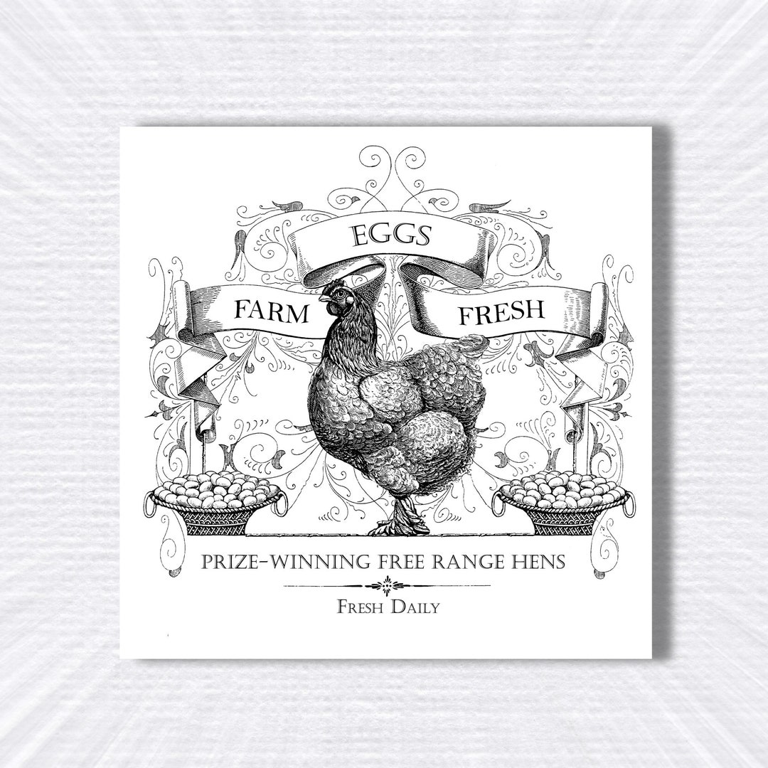 Personalized Chicken Egg Stickers/ Carton Labels/ Farm Egg Labels ...