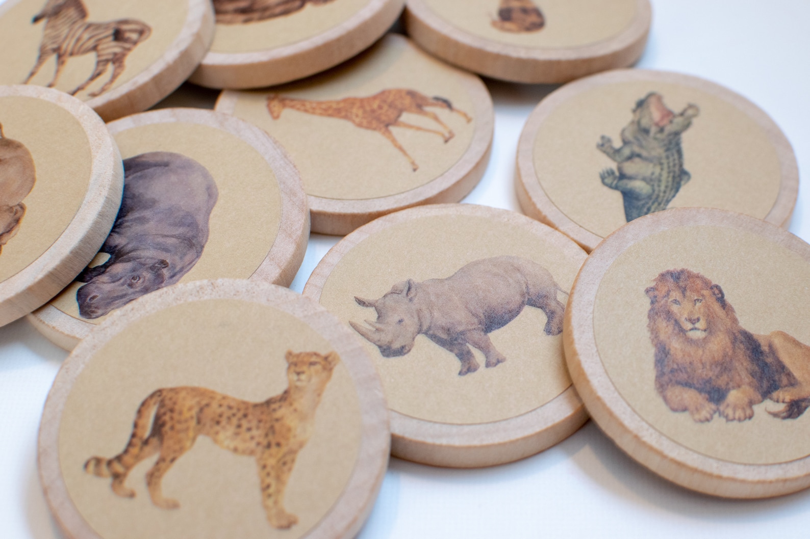 Safari Animal Magnet Set / Set of 10 / 2 3/8 x 1/4 Inches / | Etsy