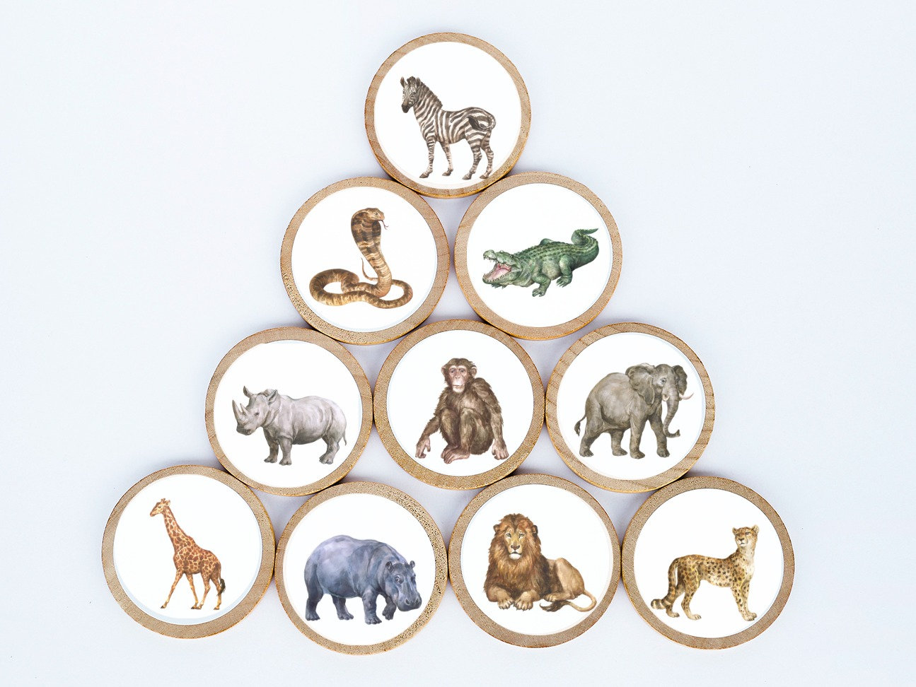 Safari Animal Magnet Set / Set of 10 / 2 3/8 x 1/4 Inches / | Etsy