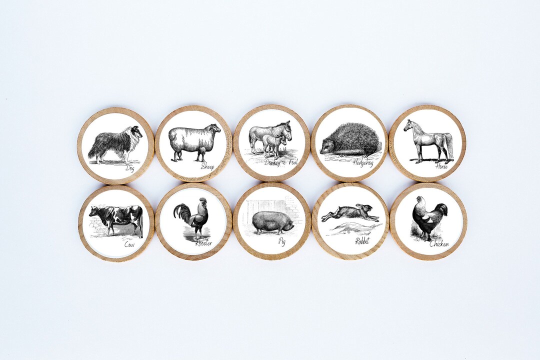 Farm Animal Magnet Set / Set of 10 / 2 3/8 X 1/4 Inches / Refrigerator ...