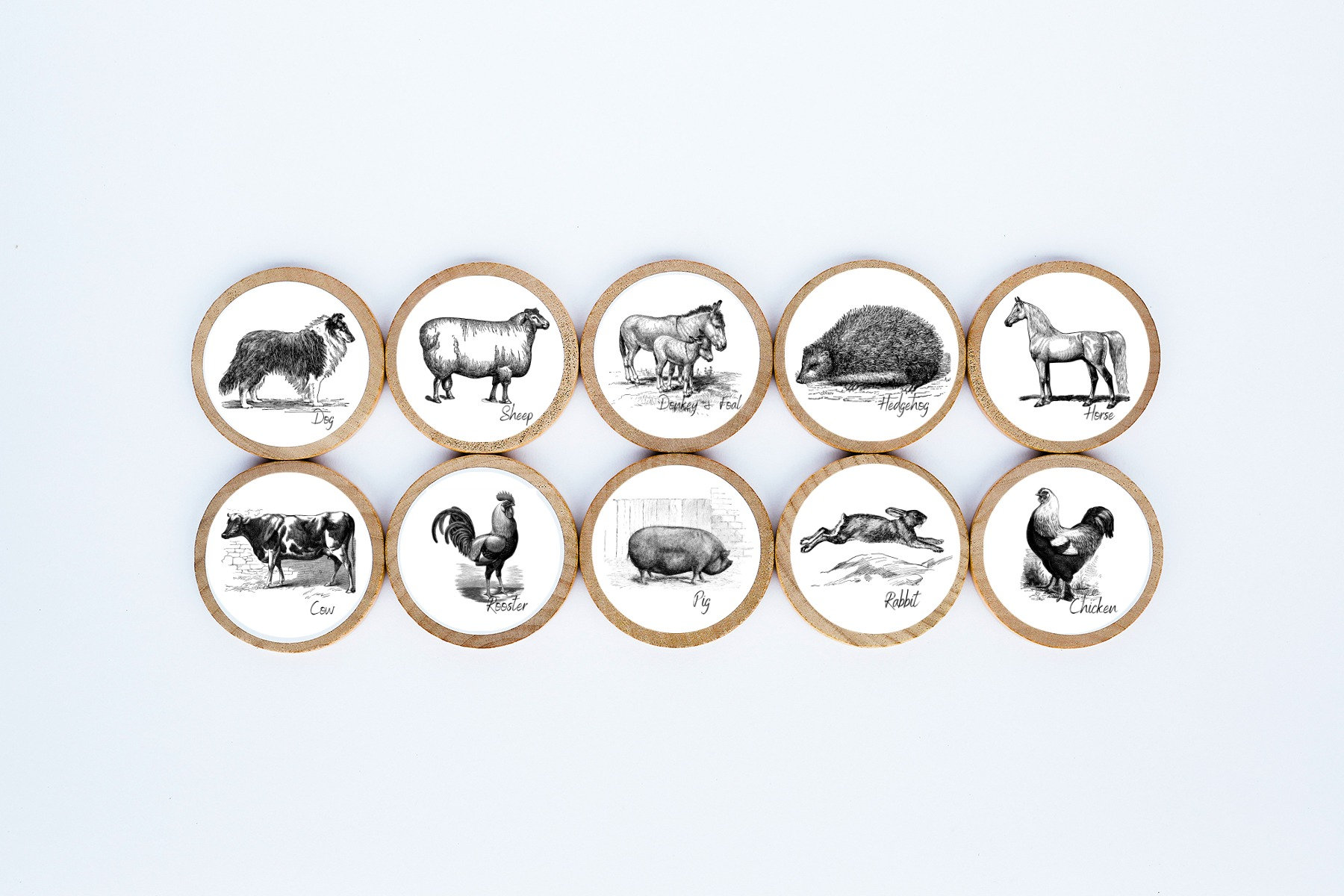 Farm Animal Magnet Set / Set of 10 / 2 3/8 X 1/4 Inches / | Etsy