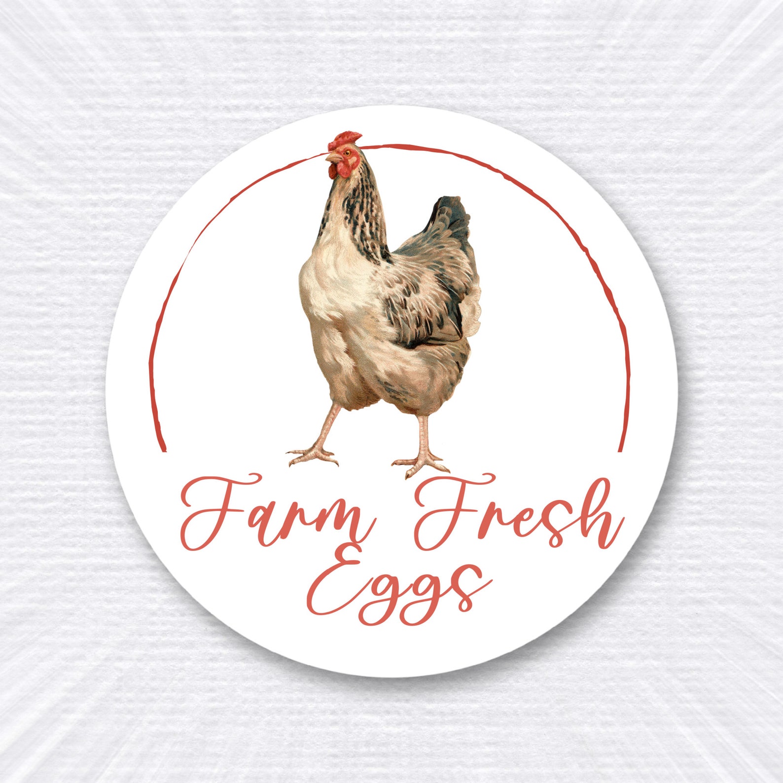 Personalized Chicken Egg Stickers/ Carton Labels/ Farm Egg - Etsy