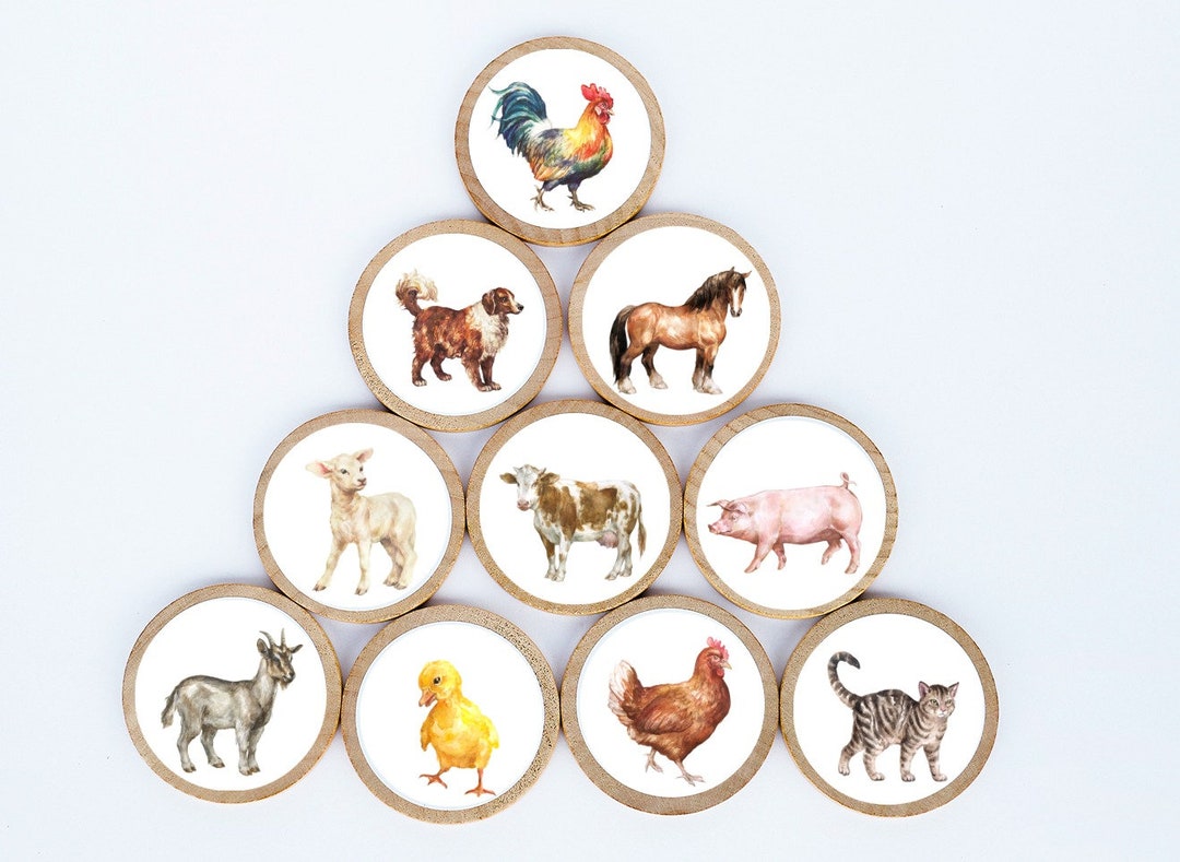 Farm Animal Magnets: Montessori Wooden Coins, Set of 10 - Etsy