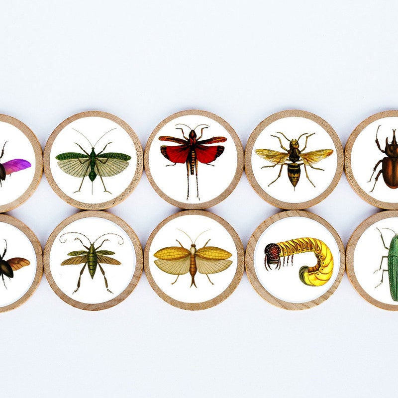 TheButtercupHouse - Etsy