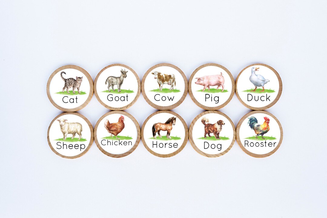 Farm Animal Magnet Set / Set of 10 / 2 3/8 X 1/4 Inches / Refrigerator ...