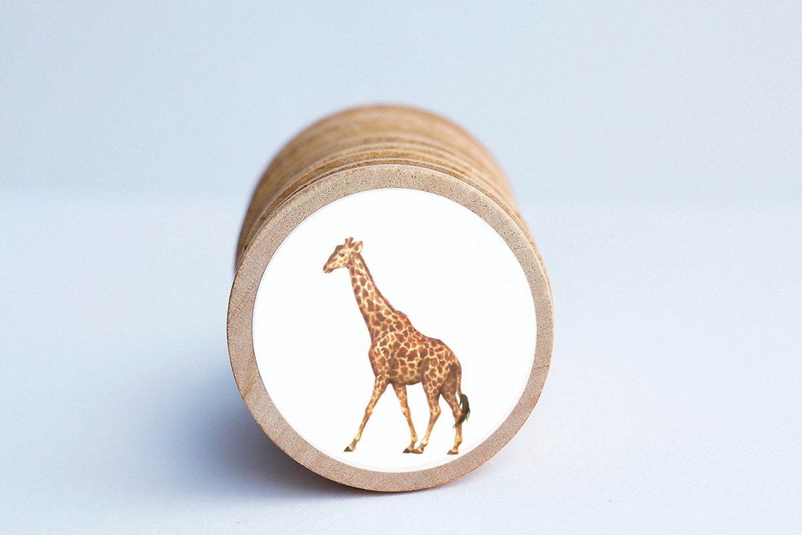 Safari Animal Magnet Set / Set of 10 / 2 3/8 X 1/4 Inches / - Etsy