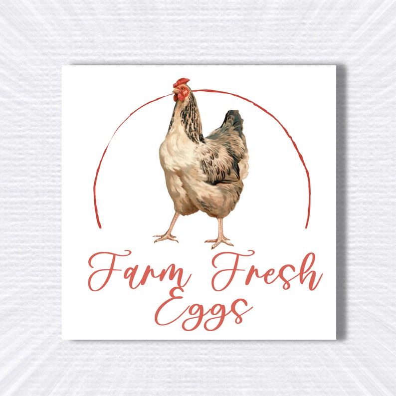 Personalized Chicken Egg Stickers/ Carton Labels/ Farm Egg - Etsy
