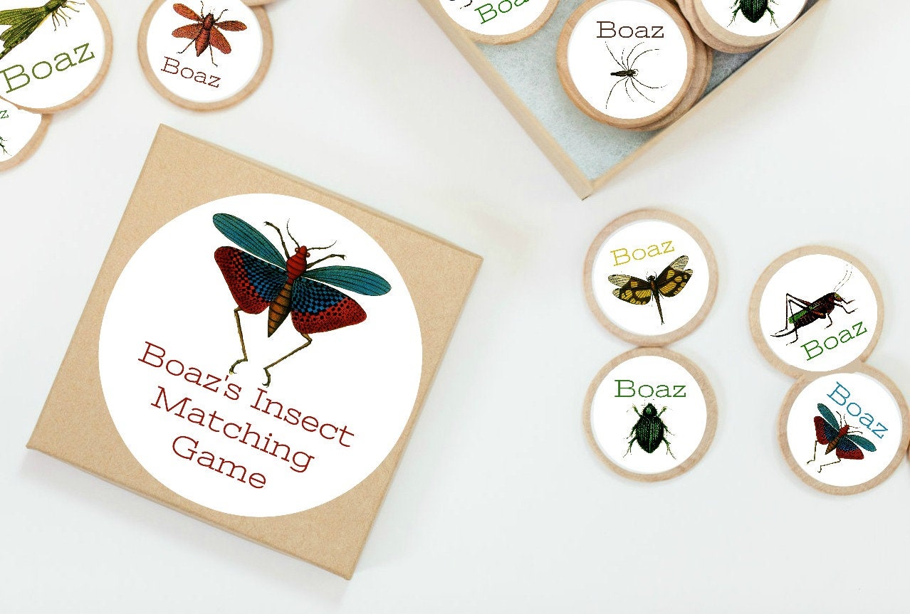Personalized Bug/Insect Gift BoxSet 2Birthday GiftCustom | Etsy