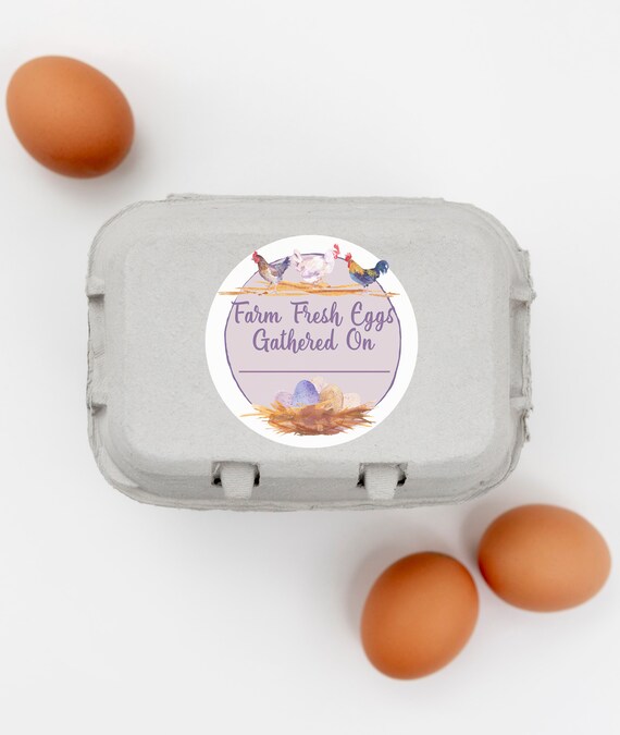 Personalized Chicken Egg Stickers/ Carton Labels/ Farm Egg | Etsy