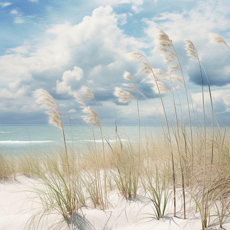 Old Florida Sea Oats, Sea Shells & Dunes Digital Download - Etsy