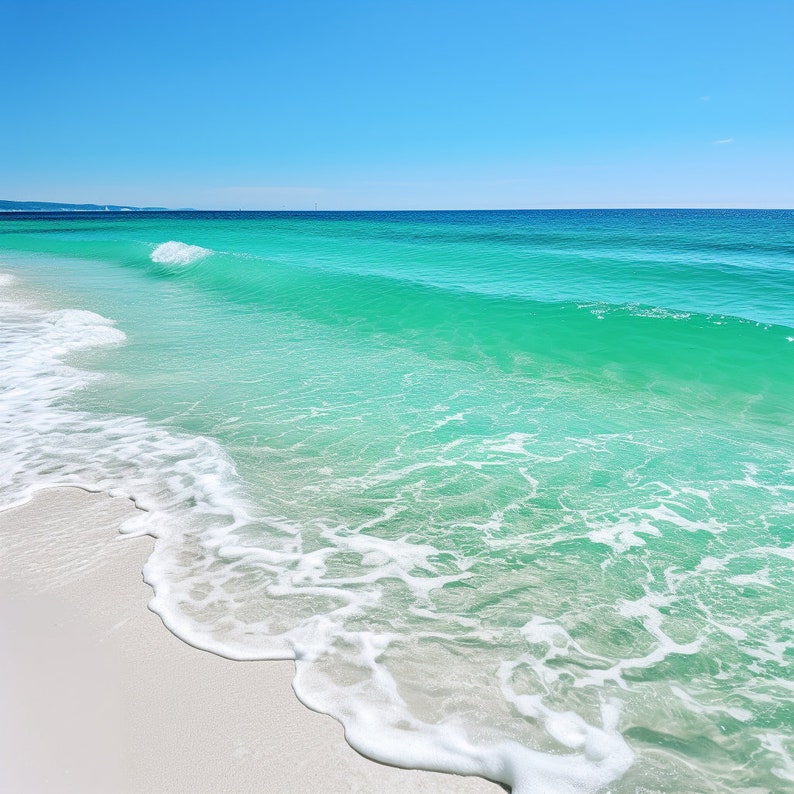 Sea Shells on the Sea Shore Destin Florida Coastal Theme Wall Art Set ...