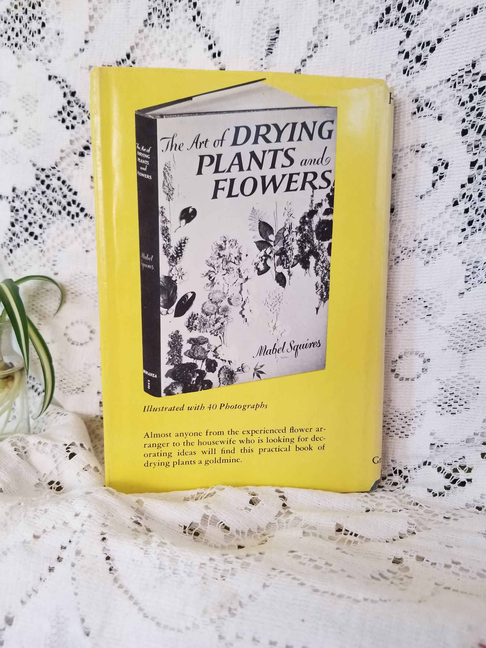 Vintage Botanical Book Wild Flowers for Your Garden by Helen - Etsy