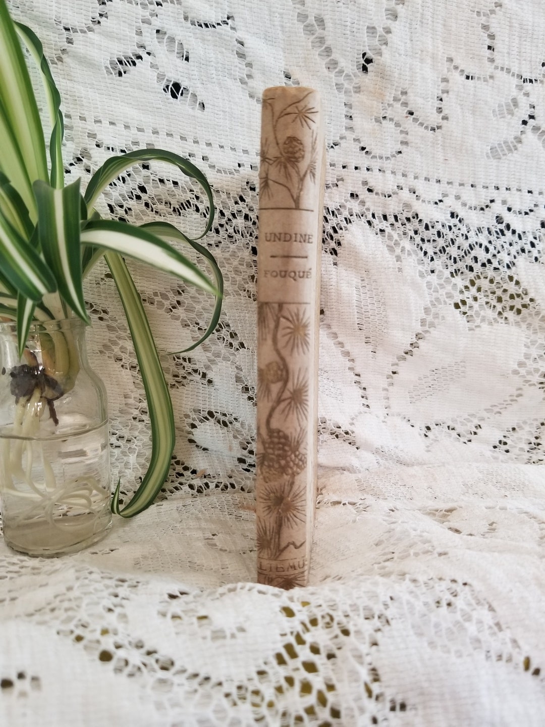 Antique Undine Fairy Tale Book by De La Motte Fouque Germanic - Etsy