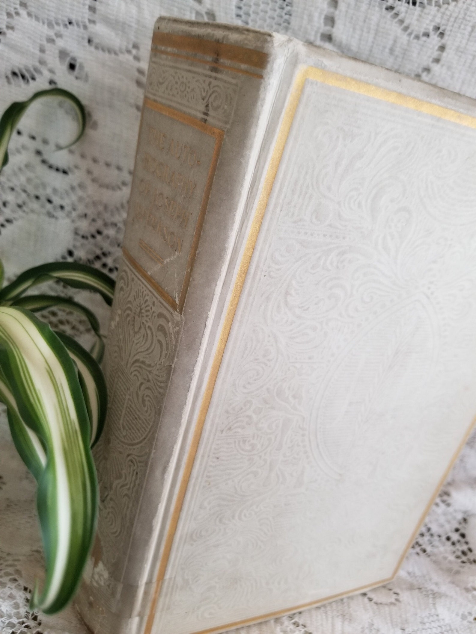 History of Rip Van Winkle Actor Large Ornate Antique Book in | Etsy