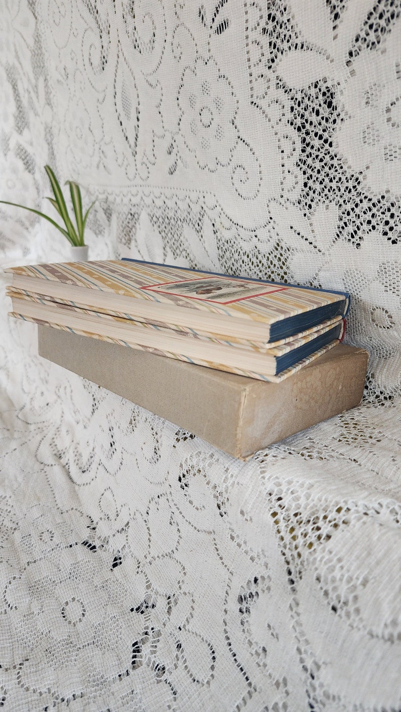 Alice in Wonderland Book & Through the Looking Glass Story by - Etsy