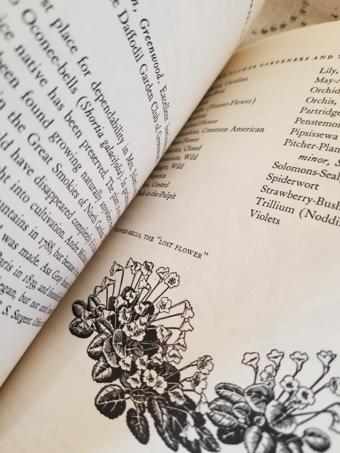 Vintage Botanical Book Wild Flowers for Your Garden by Helen | Etsy