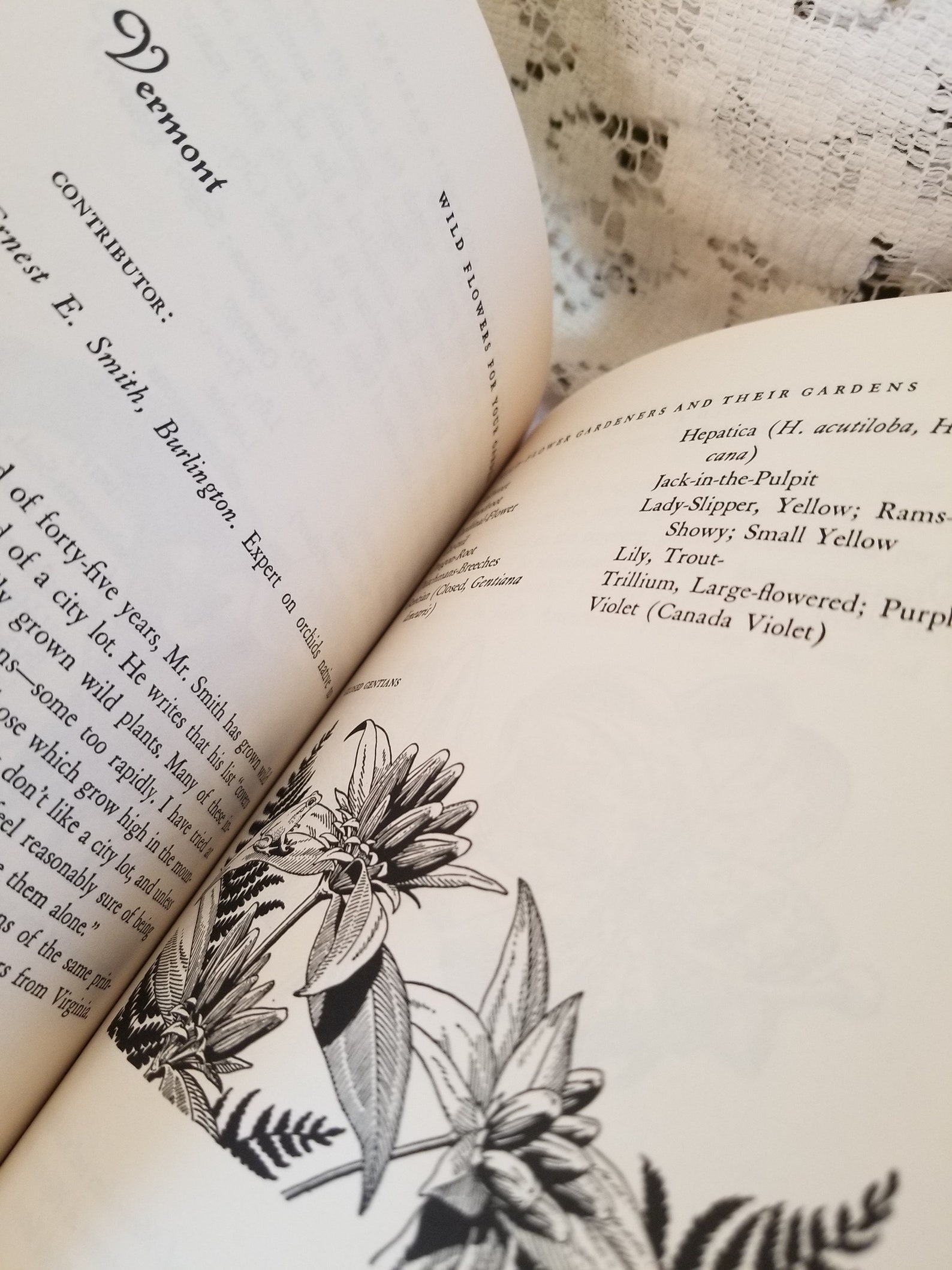 Vintage Botanical Book Wild Flowers for Your Garden by Helen | Etsy