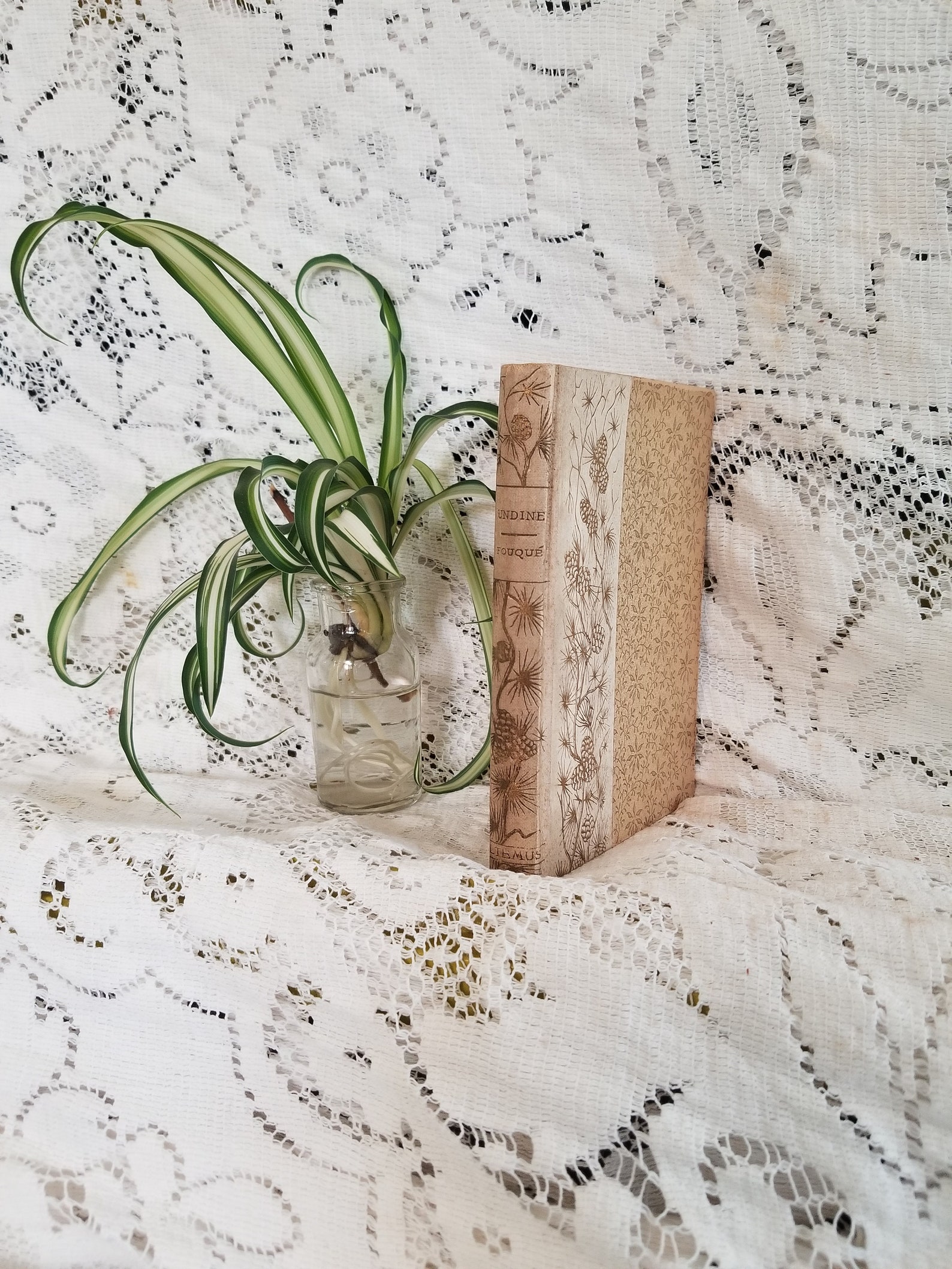 Antique Undine Fairy Tale Book by De La Motte Fouque Germanic - Etsy