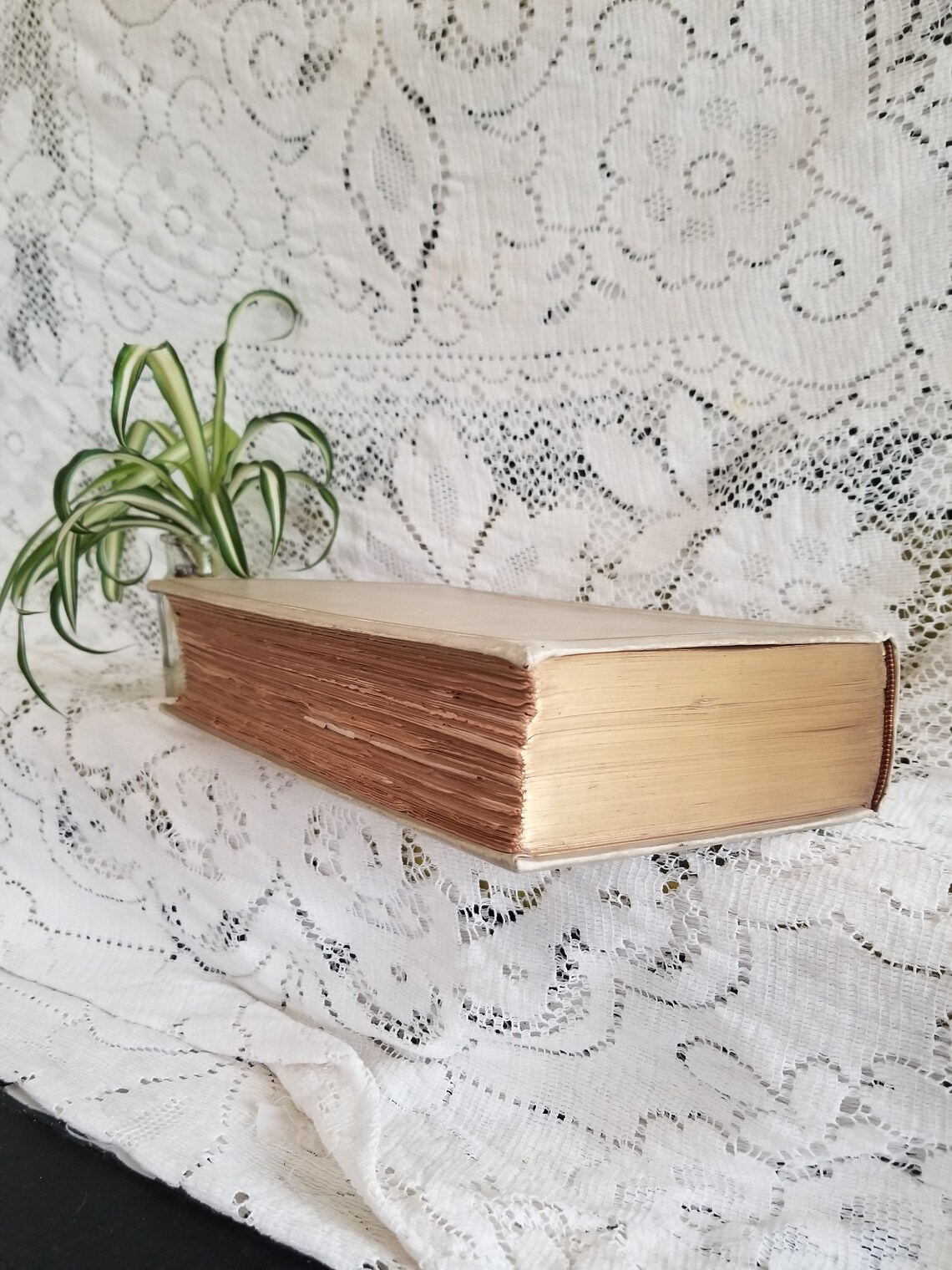 History of Rip Van Winkle Actor Large Ornate Antique Book in - Etsy