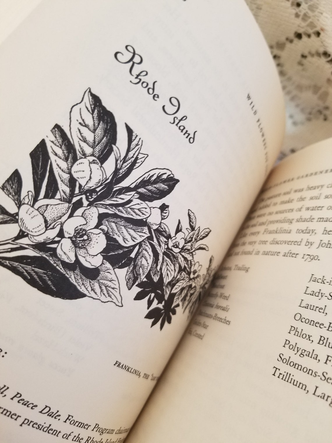 Vintage Botanical Book Wild Flowers for Your Garden by Helen | Etsy