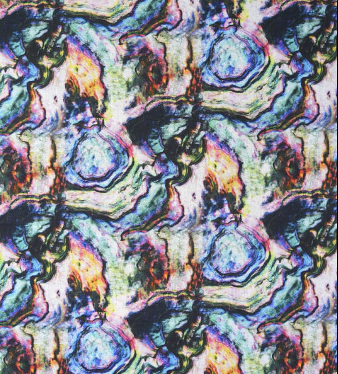 Abalone or Agate Fabric: Dramatic Coloring, Shells, Ocean Life, Ancient ...
