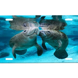 Manatee License Plate With Custom Background Options - Etsy