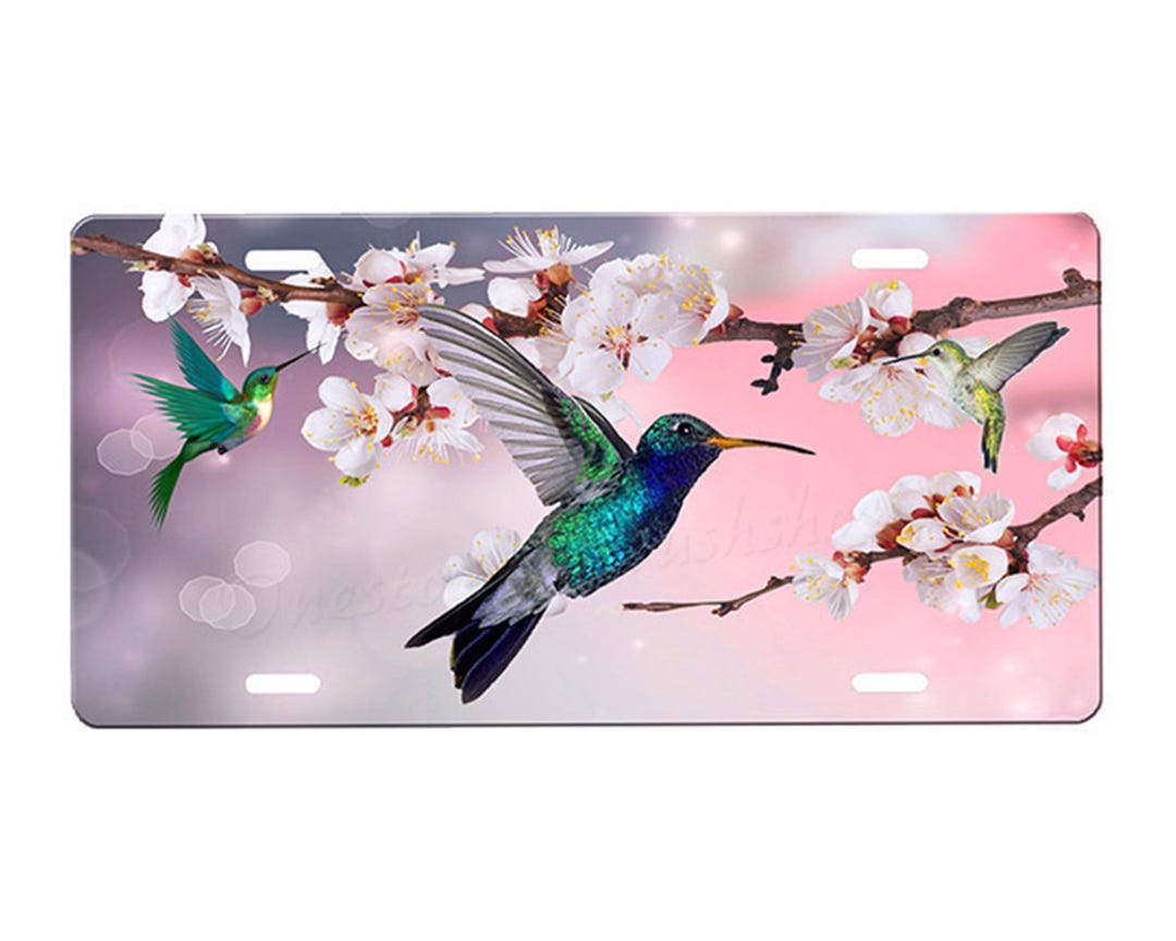 Hummingbird License Plate With Custom Background Options - Etsy