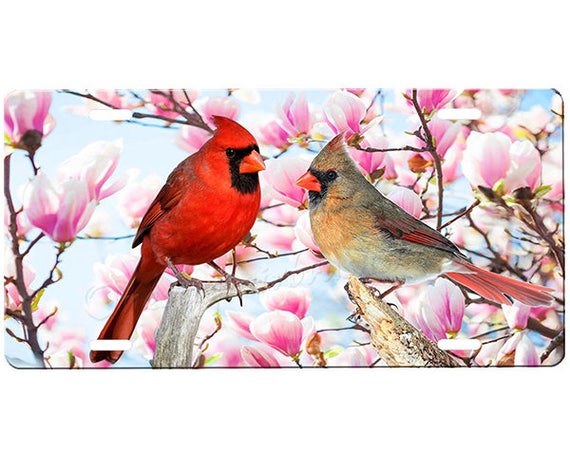 Cardinal License Plate - Etsy