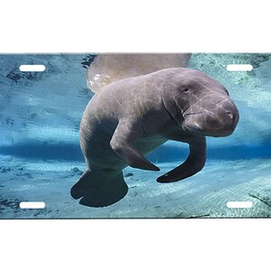 Manatee License Plate With Custom Background Options - Etsy