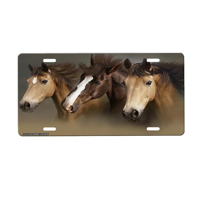 Front License Plate - Etsy