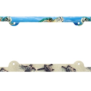Sea Turtle License Plate Frame With Custom Background Options - Etsy