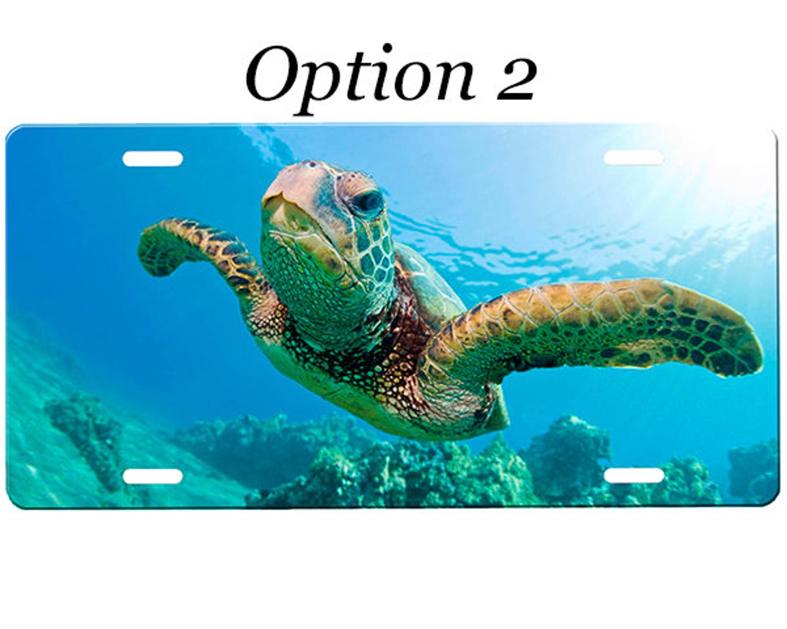 Sea Turtle License Plate | Etsy