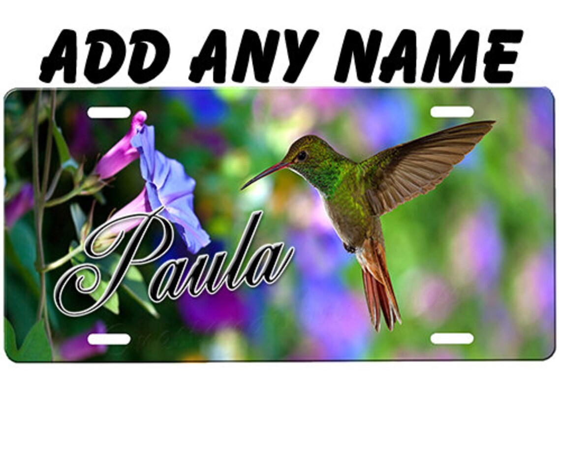 Hummingbird License Plate - Etsy