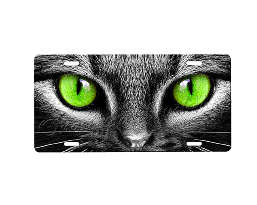 Green Cat Eyes License Plate With Custom Background Options - Etsy