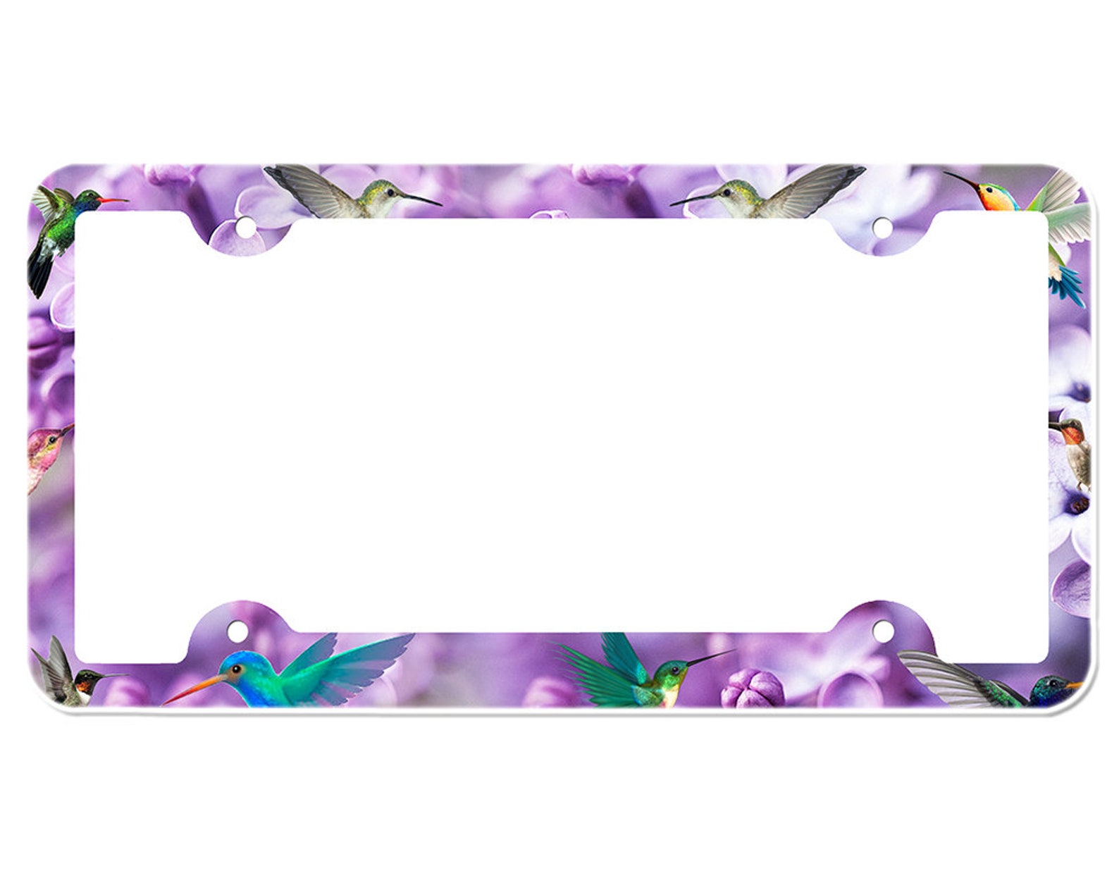 Hummingbird License Plate Frame | Etsy