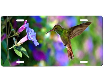 Hummingbird License Plate Frames - Etsy