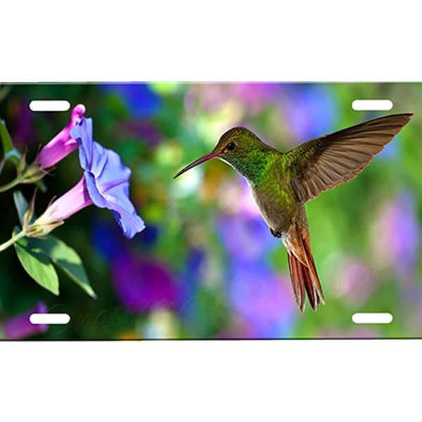 Hummingbird License Plate Frame - Etsy