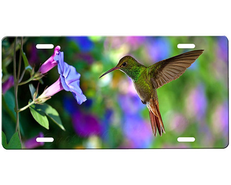 Hummingbird License Plate - Etsy