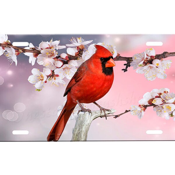 Cardinal Front License Plate - Etsy