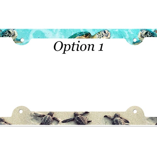 Boston Sport Teams License Plate Frame Decorative Plate Holder - Etsy