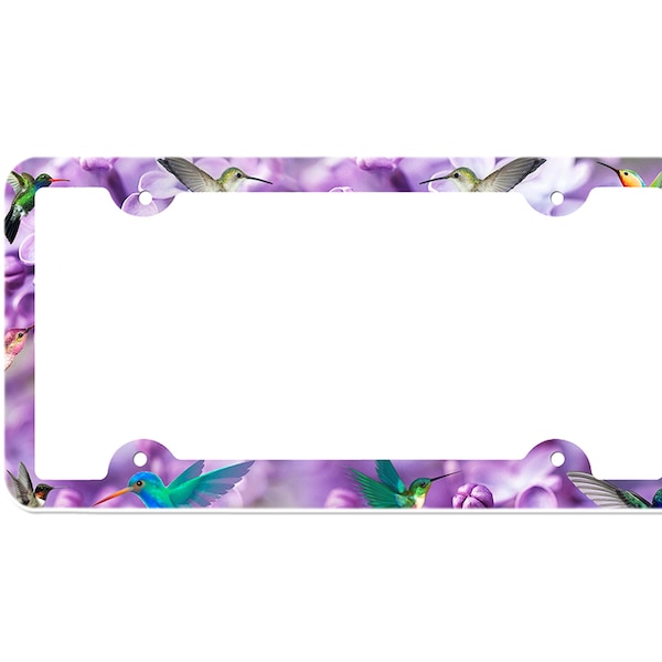 License Plate Bird Feeder - Etsy