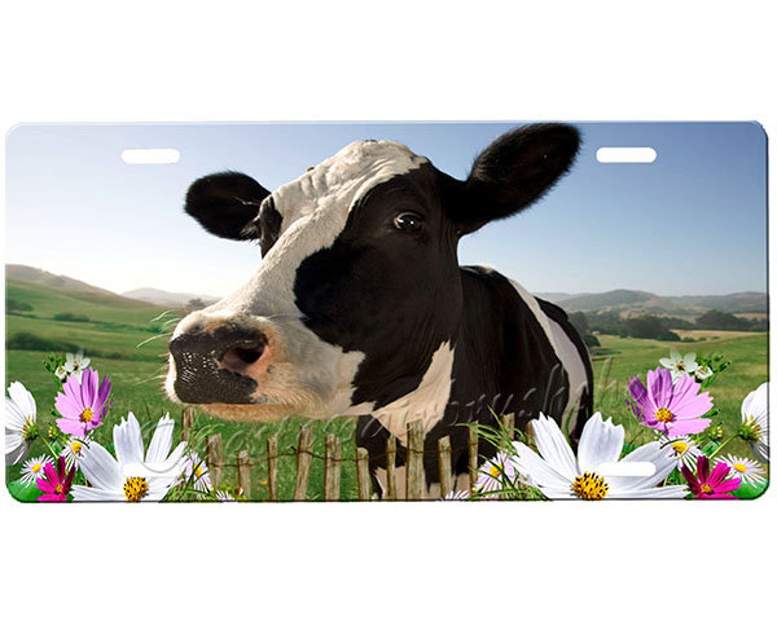Cow License Plate - Etsy
