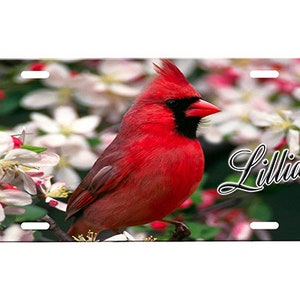 Cardinal License Plate - Etsy