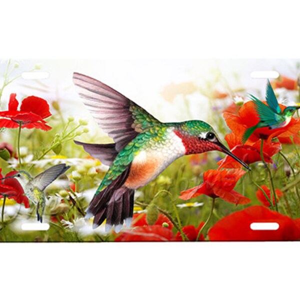 Hummingbird License Plate Frame - Etsy