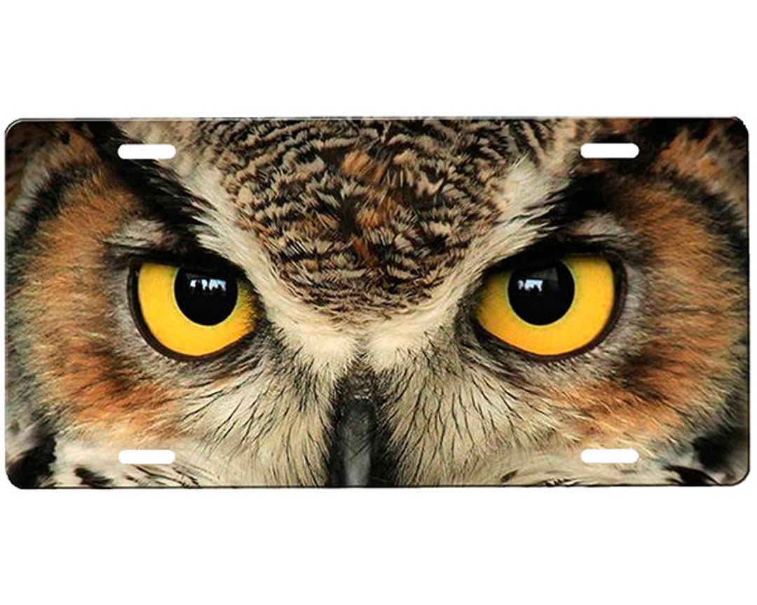 Owl License Plate - Etsy