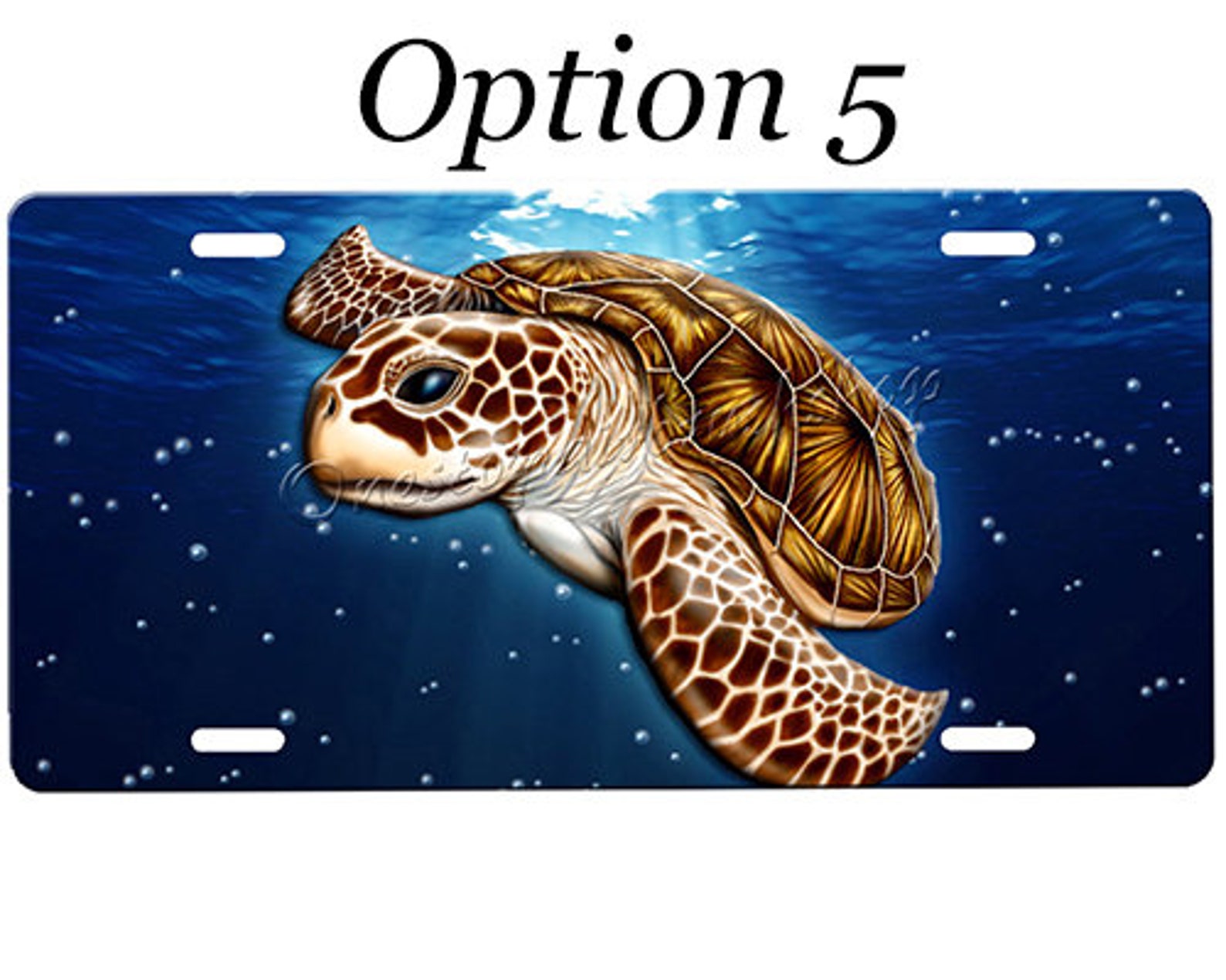 Sea Turtle License Plate | Etsy