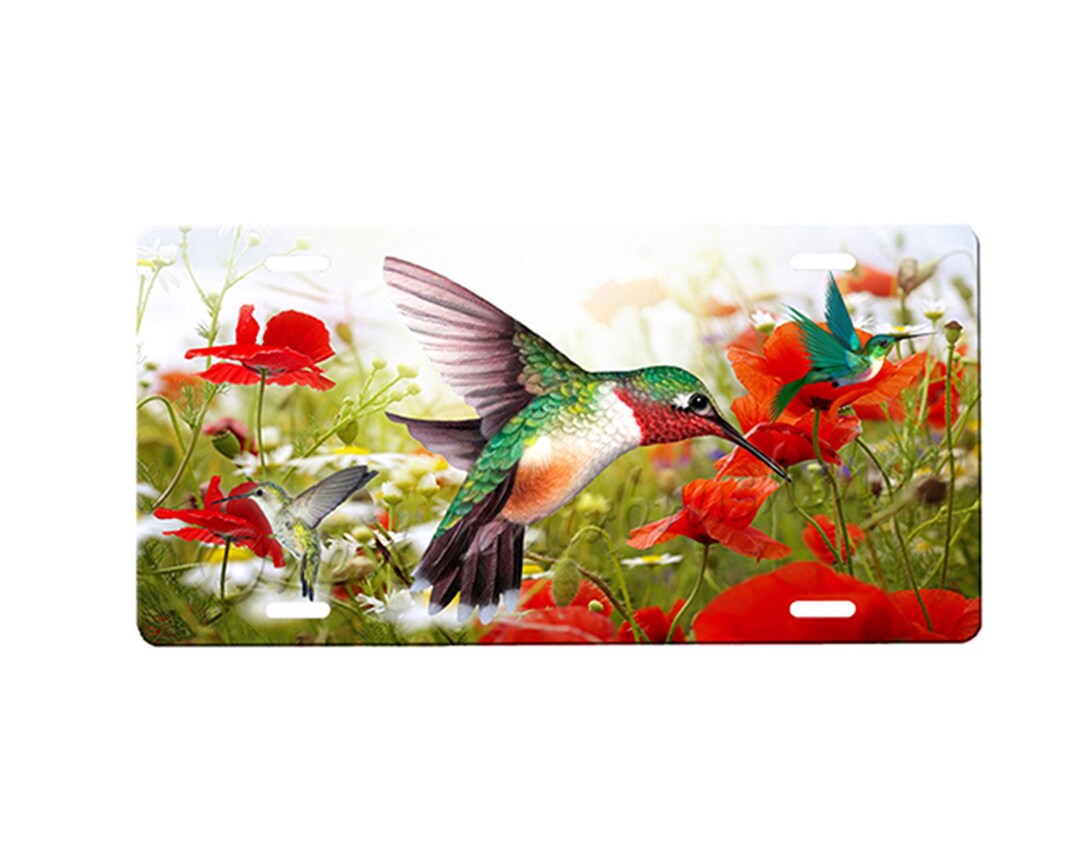 Hummingbird Front License Plate With Custom Background Options - Etsy