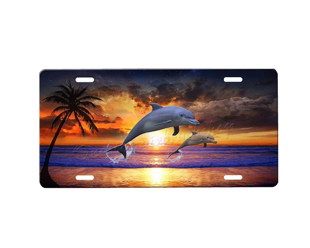 Dolphin Front License Plate With Custom Background Options - Etsy